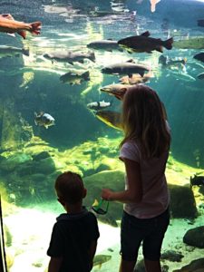 Redding, Northern California