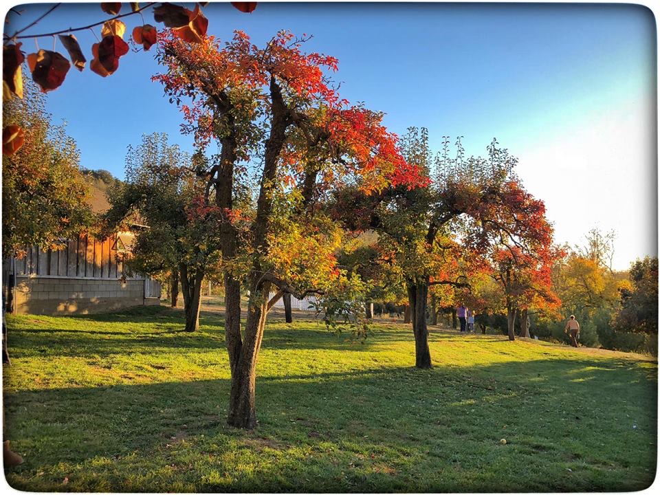 The Legend of Sleepy Hollow, Riley's Farm in Oak Glen
