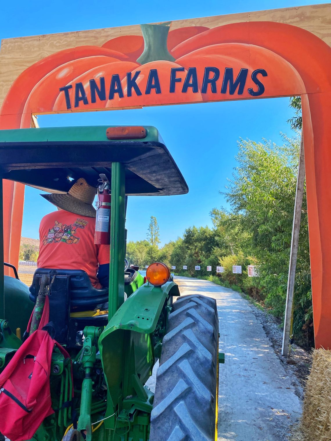 Tanaka Farms Pumpkin Patch