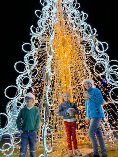 The Best Christmas Lights in Southern California | SoCalFunFamily